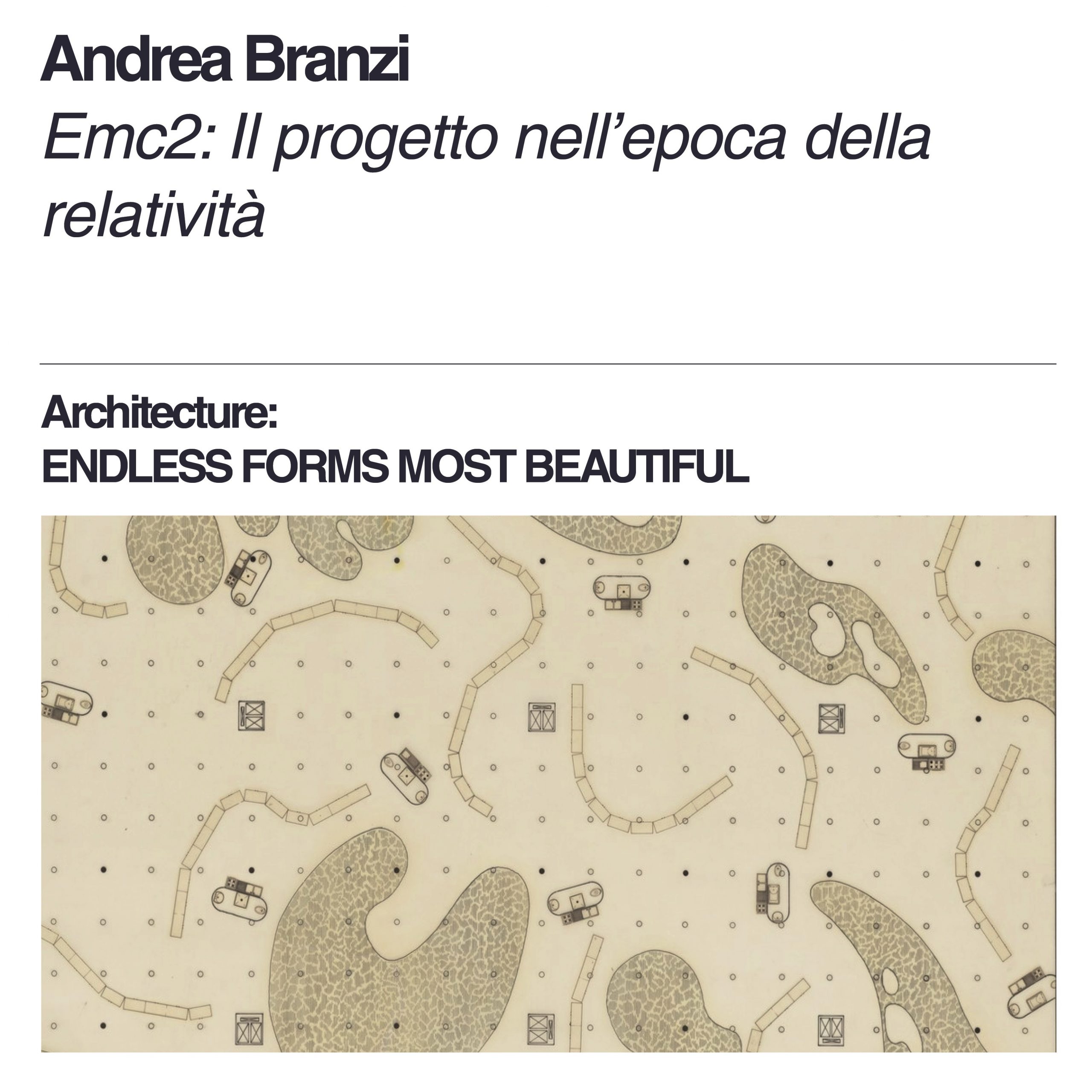 Lecture_Branzi_web | DASP Students